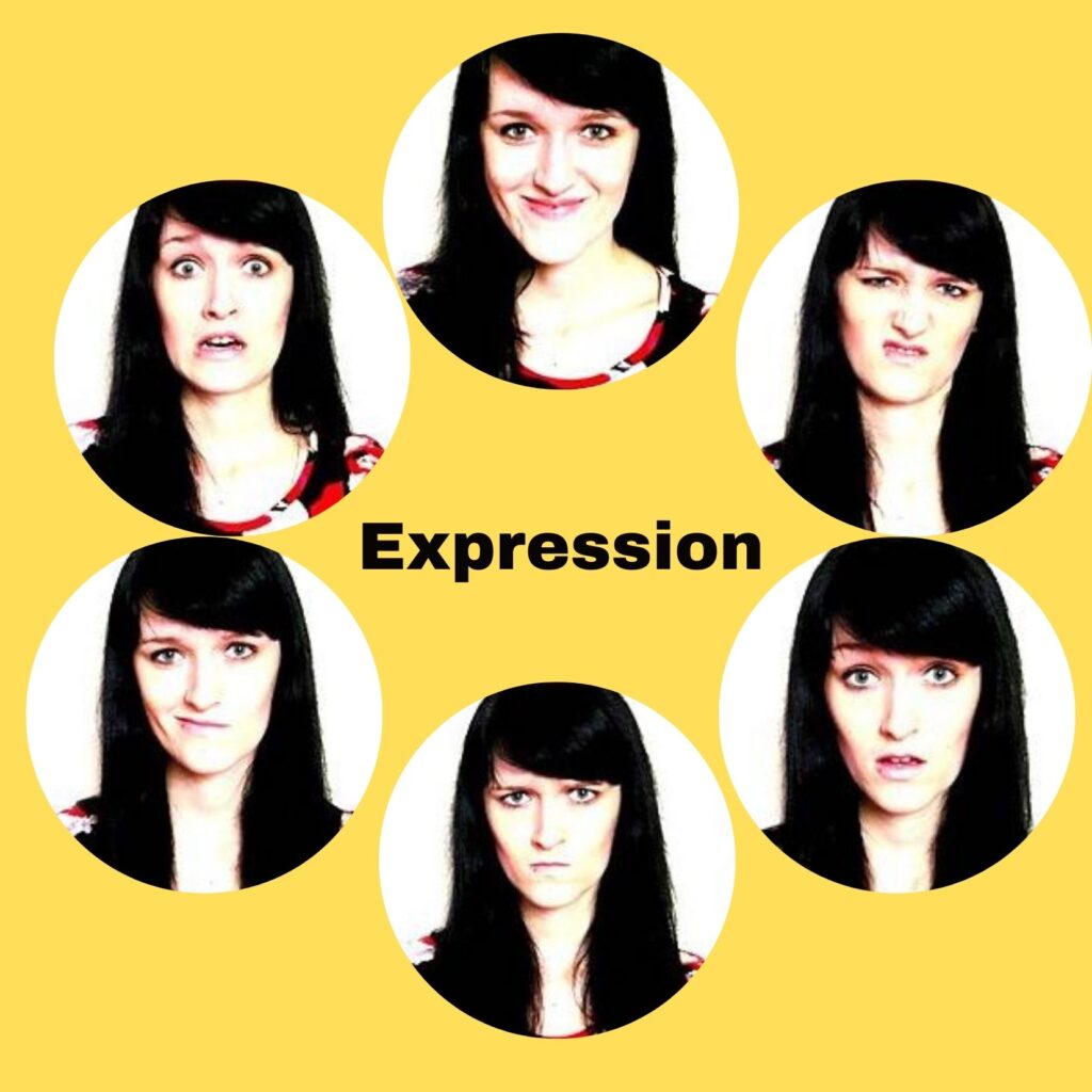 Six Limbs of Art | Write the name of six limps of painting? | Mueen Akhtar